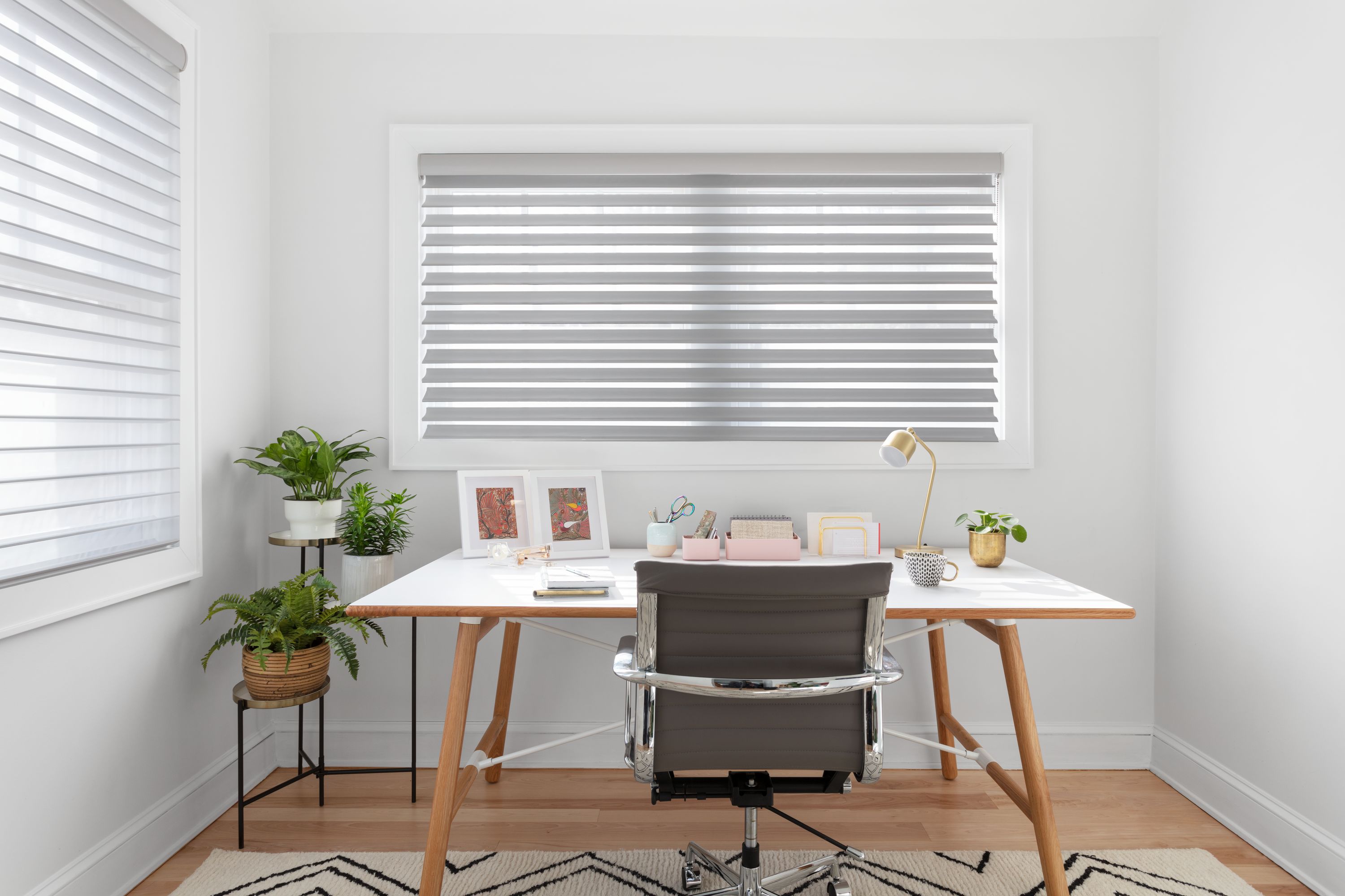 Buy Serenity Sheer Shades & Blinds for Windows Online | Blinds To Go